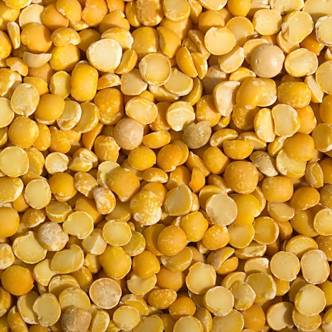 Golden Pea Protein Isolate – Noode